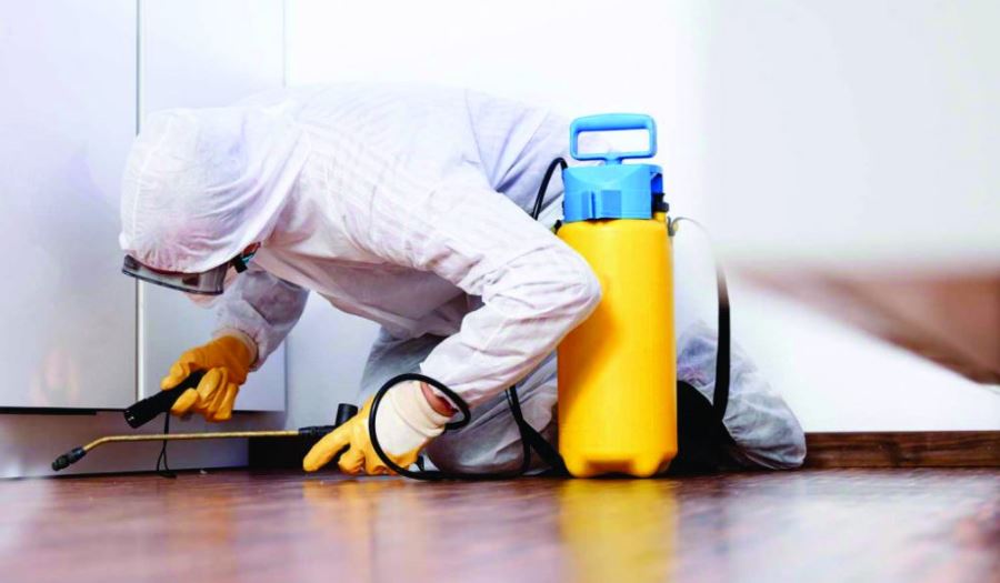 Tyfon Insecticides: Your Go-To Solution for Pest Control in Pakistan ...